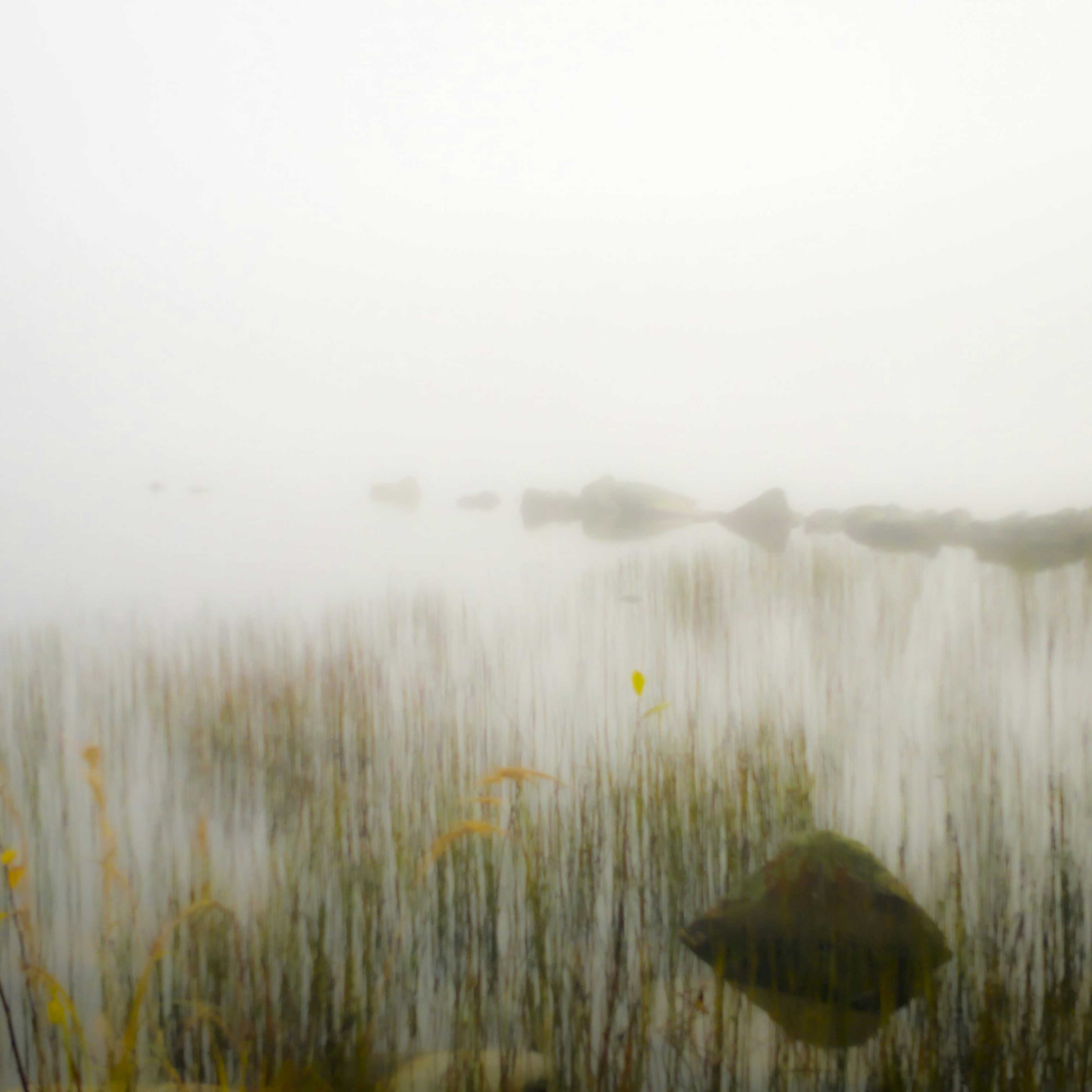 Harmaa | Niemi-Kapee